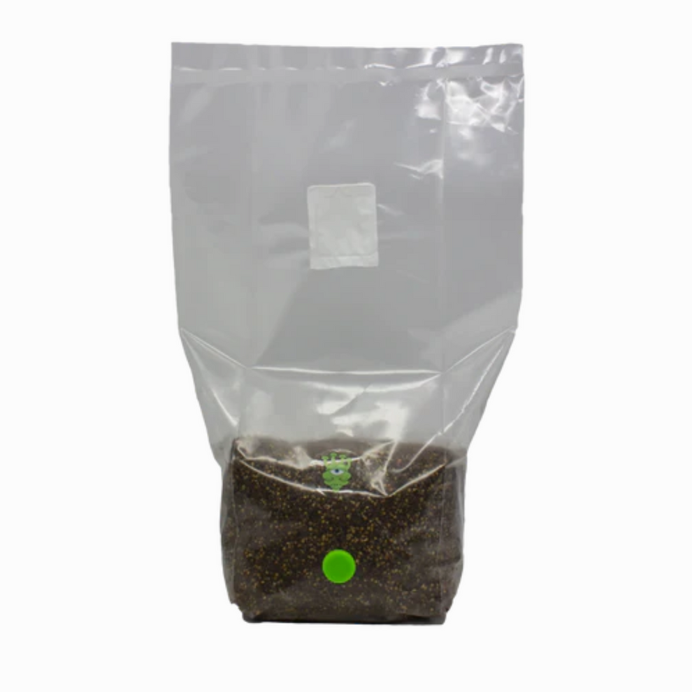 MushBag™ All-In-One Mushroom Grow Kit | Buy Online | Martian Mushrooms UK