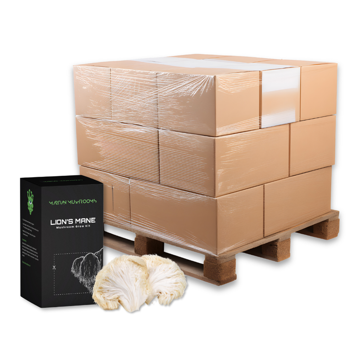 Bulk Lion's Mane Mushroom Grow Kits | UK Wholesale – Martian Mushrooms