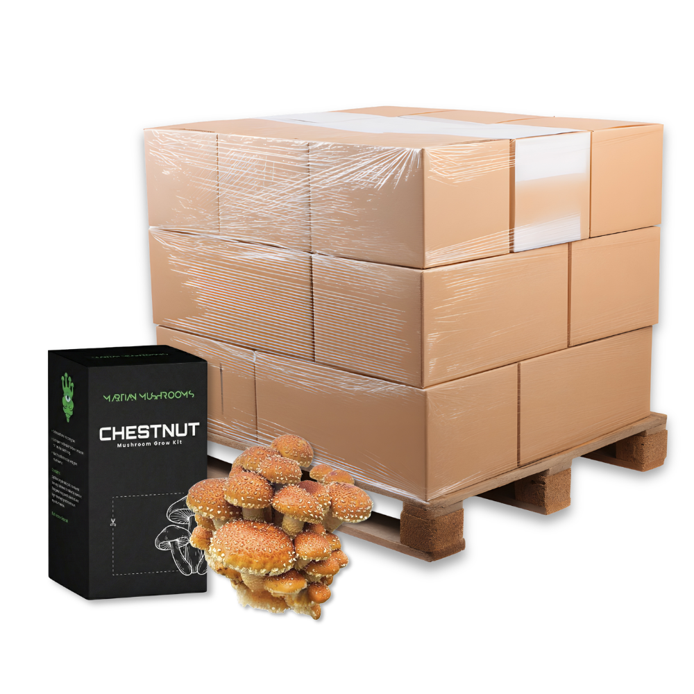 Bulk Mushroom Grow Kits UK | Martian Mushrooms