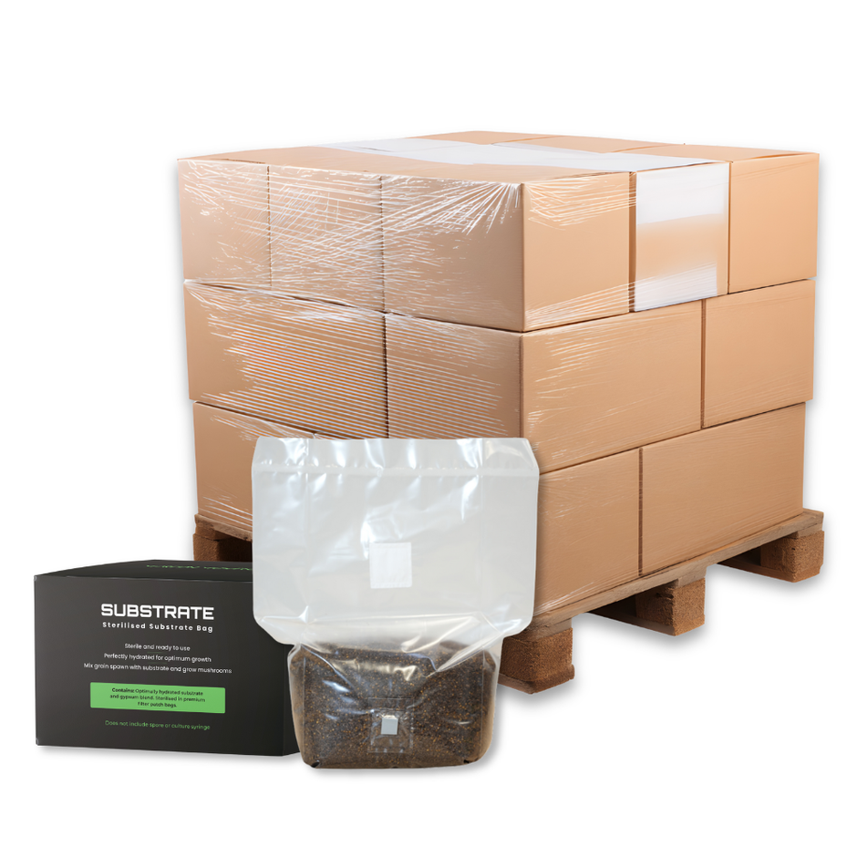 Bulk Sterile Mushroom Substrate Bags UK | Martian Mushrooms
