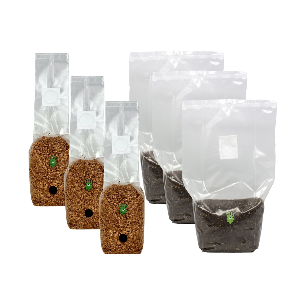 Millet Grain Spawn & CVG Mushroom Substrate Bundle – Martian Mushrooms