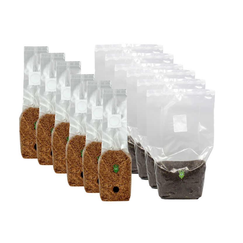 Millet Grain Spawn & CVG Mushroom Substrate Bundle – Martian Mushrooms