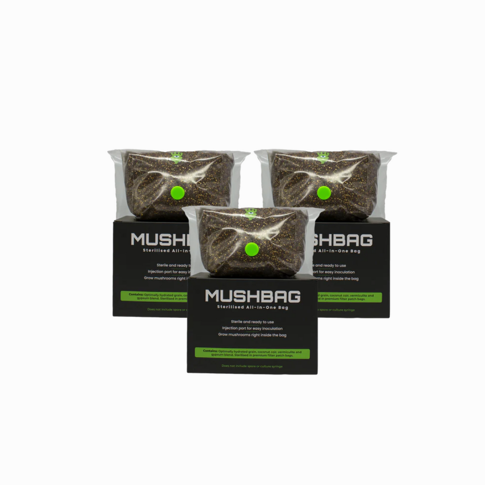 MushBag™ All-In-One Mushroom Grow Kit | Buy Online | Martian Mushrooms UK